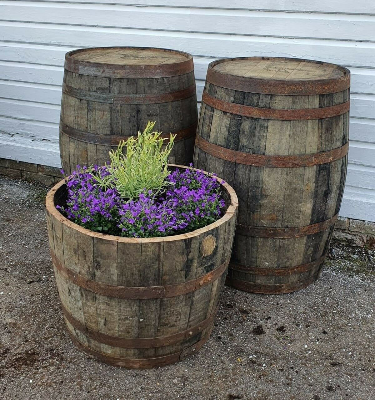 Large 50cm Tall Oak HALF BARREL Tree Shrub Bush Flower Garden Planter ...