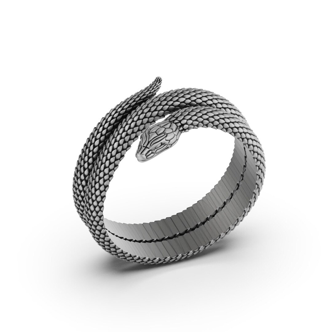 Snake Band Ring, Serpent Silver Band, Slithering Design Ring, Reptile ...