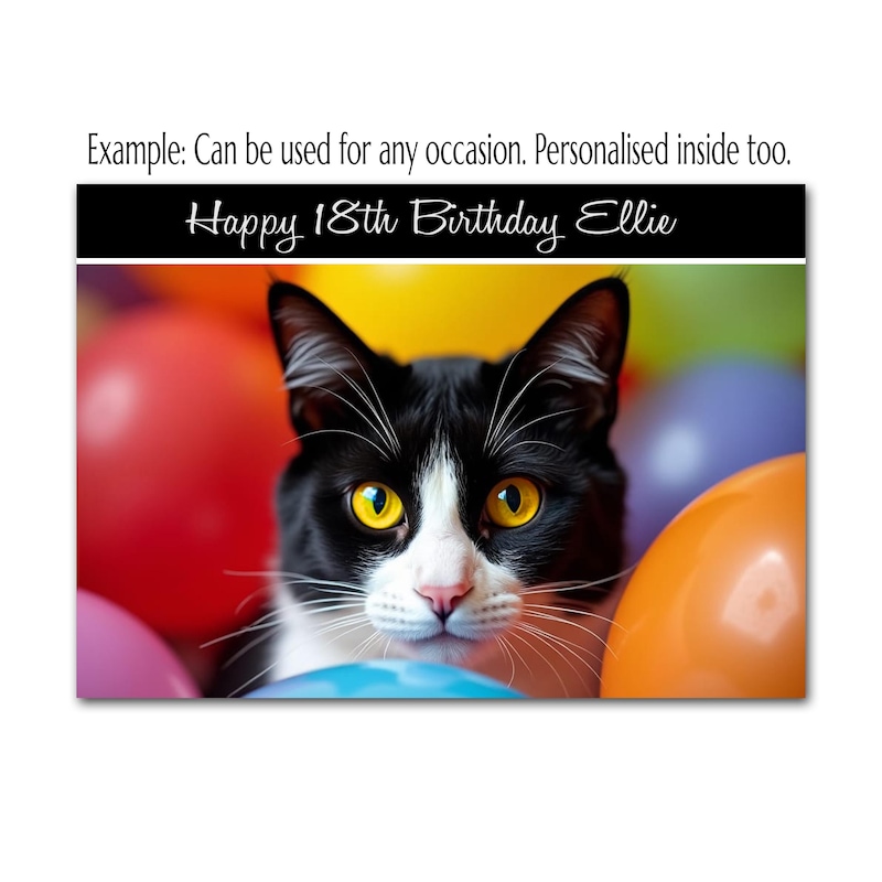 Fat Cat Cards and Gifts - 60+ Gift Ideas for 2026