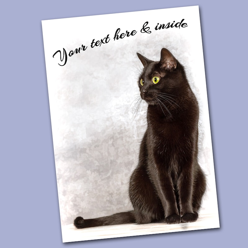 Black Cat Cards - Etsy UK