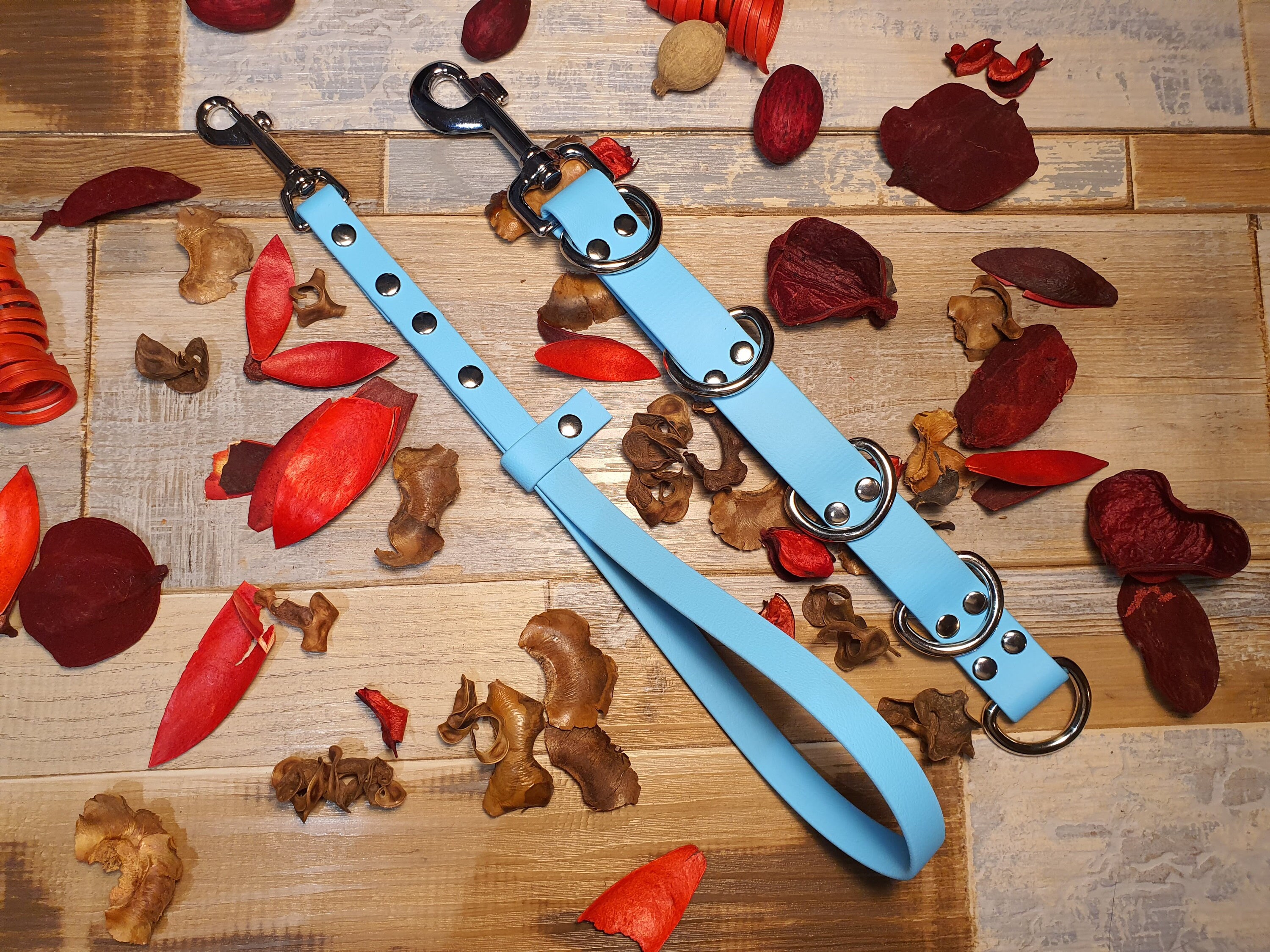 Biothane Dog and Puppy Grooming Noose Restraint and Extenders - Etsy