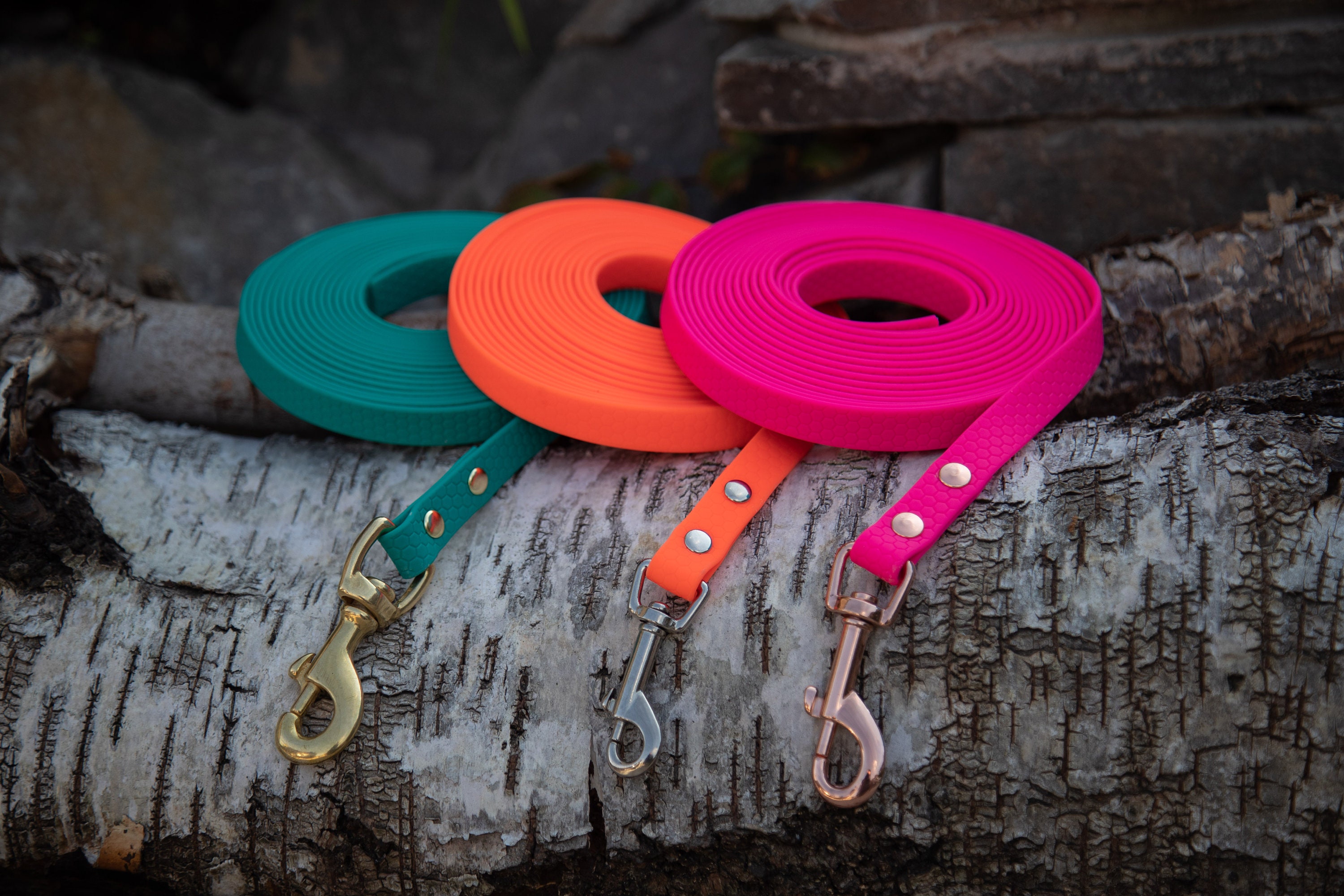 BenjaminsEmporium | ppgbbe.intranet.biologia.ufrj.br