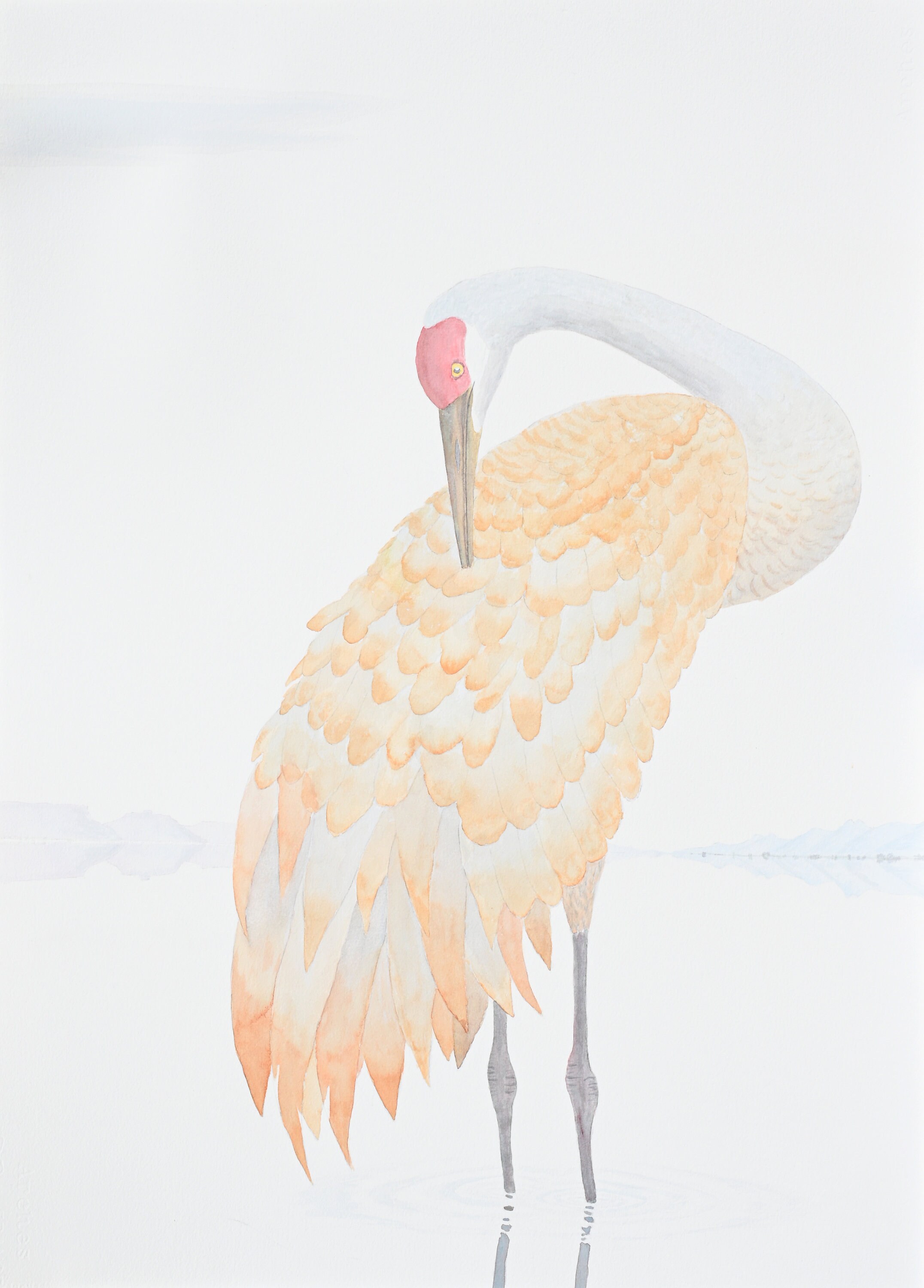 Preening Crane 2 - Etsy
