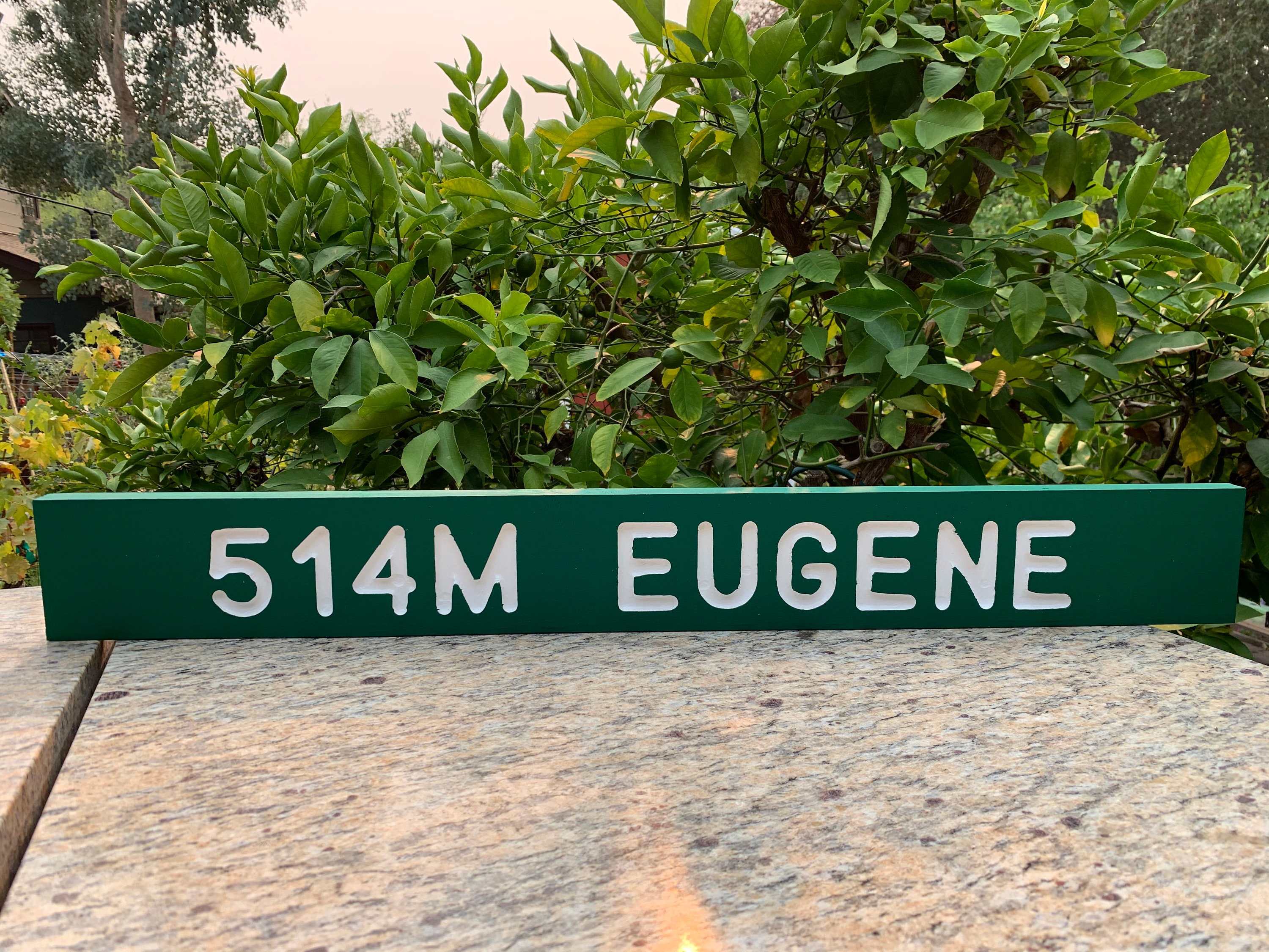 Letreros personalizables estilo Parque Nacional letrero de - Etsy España