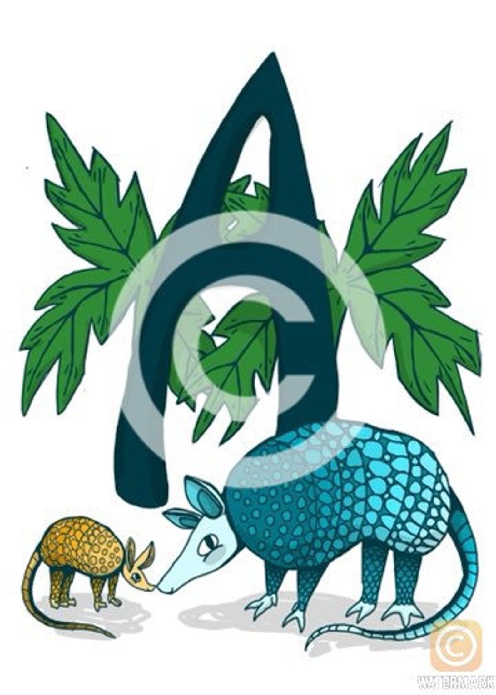 A is for ARMADILLO Alphabet Print Digital Download Wall Art - Etsy