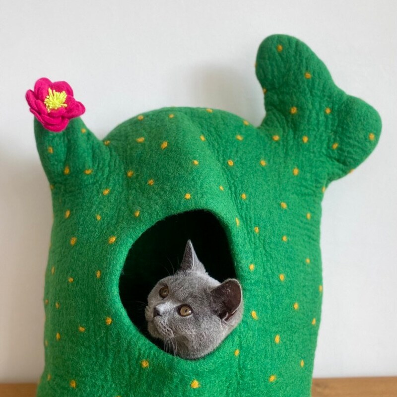 Cat Cactus - Etsy