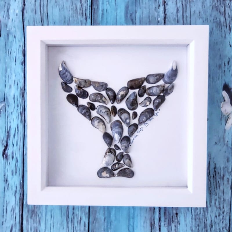 Mussel Shells - Etsy