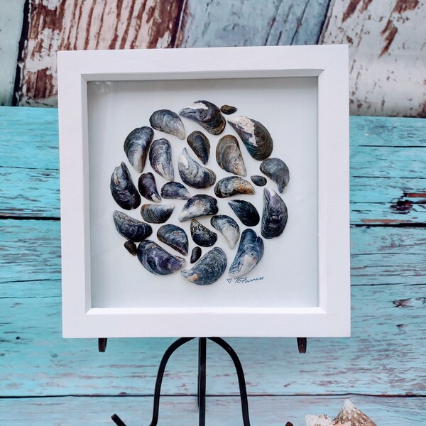 Shell Frame - Etsy