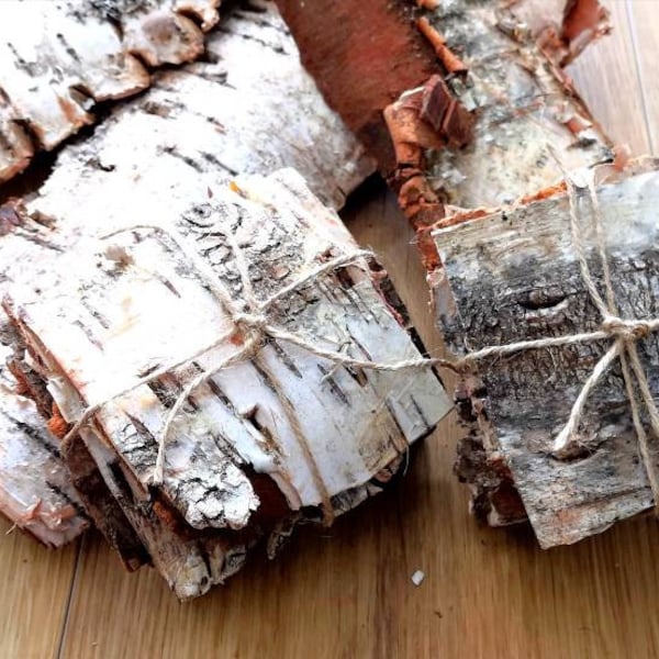 Birch Bark Art - Etsy