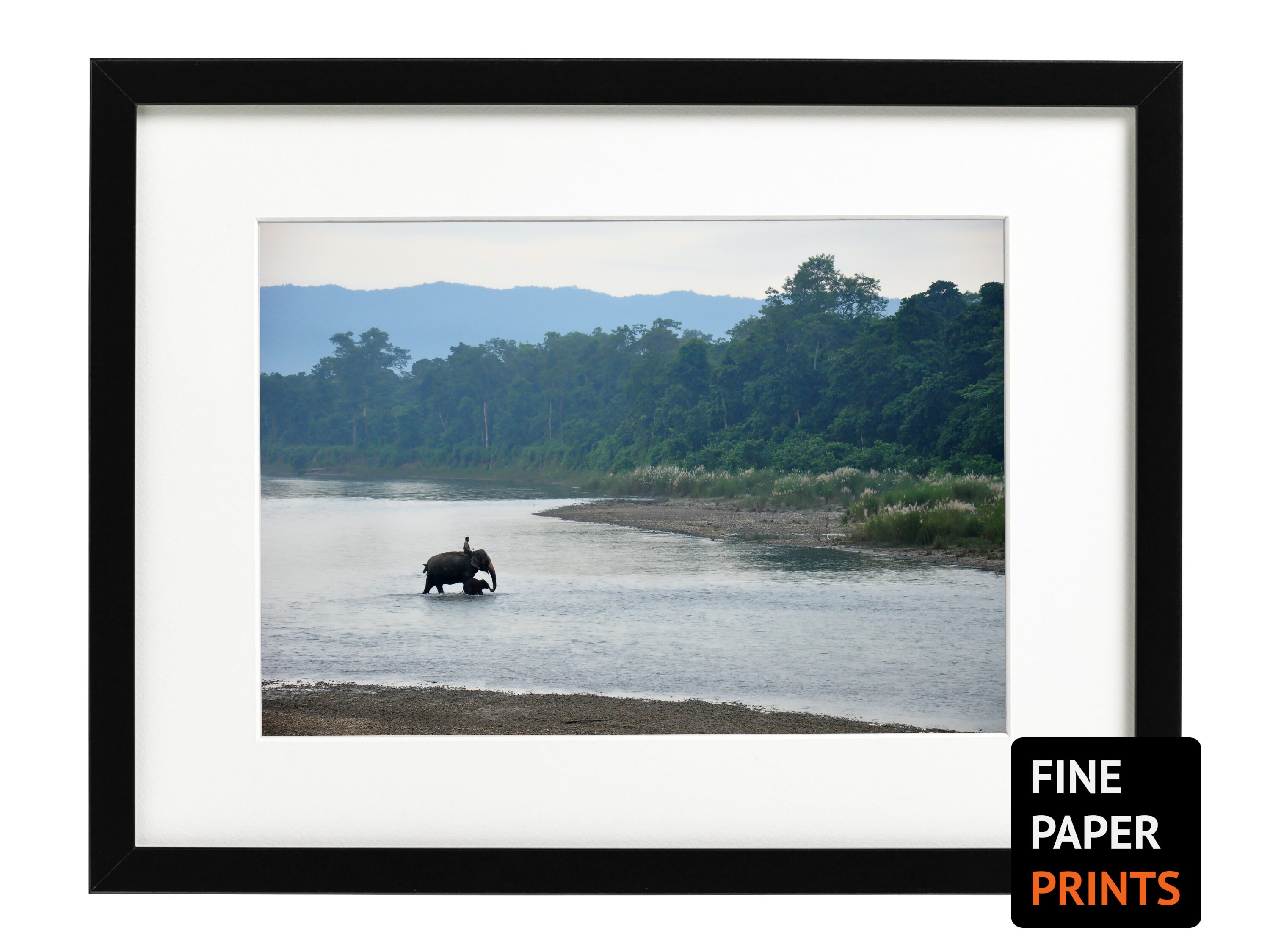 home decor Asian elephant carrying nepalese merchant in Chitwan ...