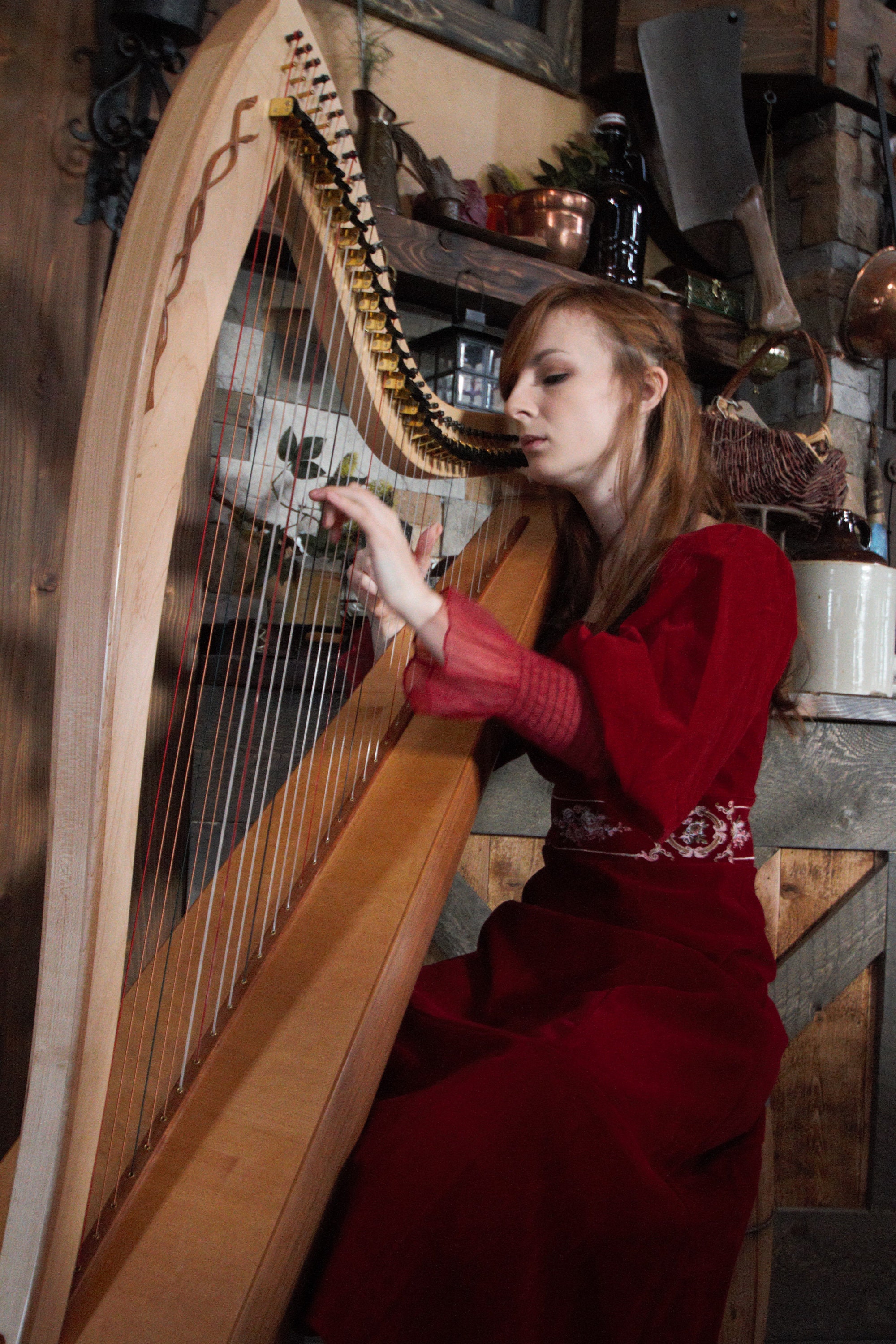 Celtic Harp Music Legends and Lore: Fantasy Music on the - Etsy