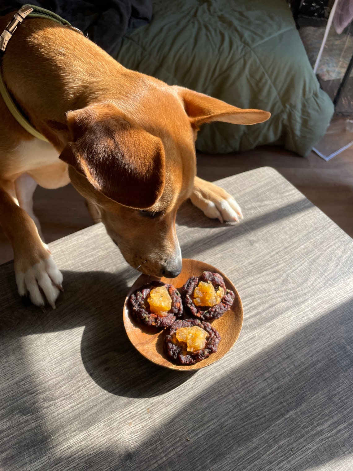 Cheese Hamburger Steak for Dog / Dog Treats / Cat Treat / Dehydrated ...