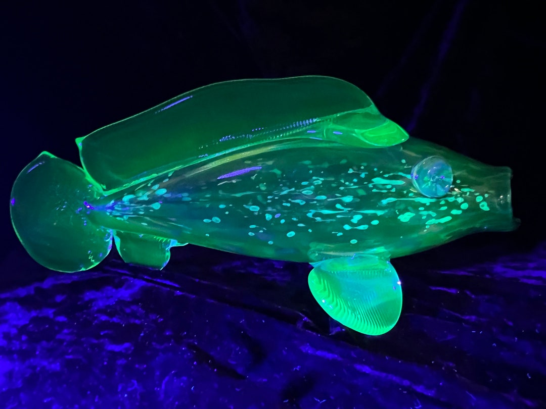 Uranium Rainbow Fish 12 - Etsy