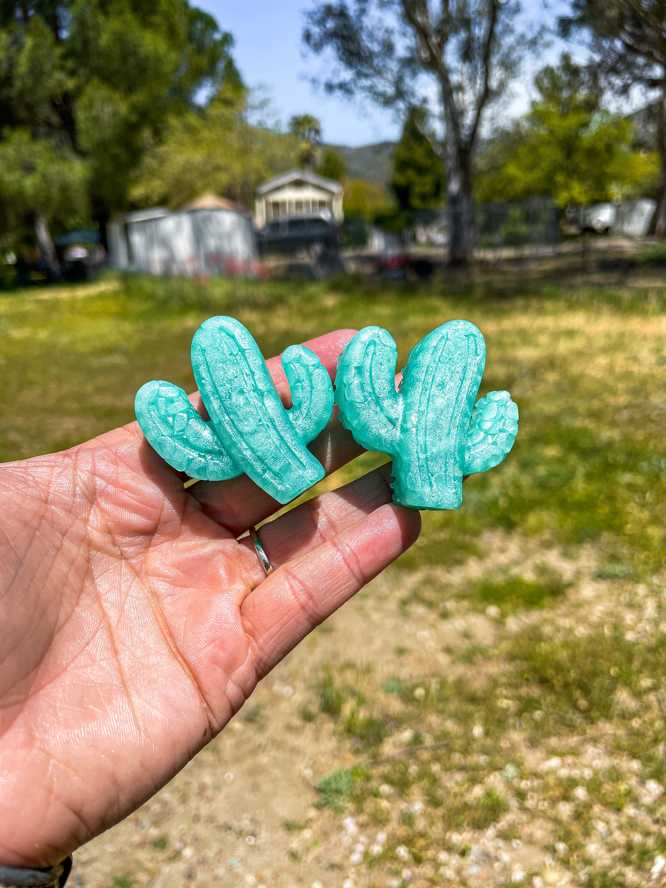 Regular Sized Cactus Car Freshie Vent Clips - Etsy