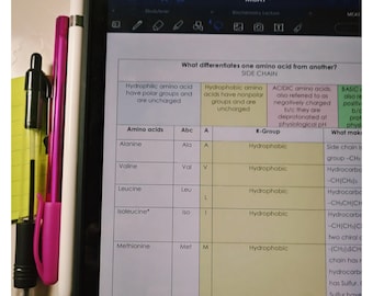 MCAT Amino Acids Cheat Sheet - Etsy