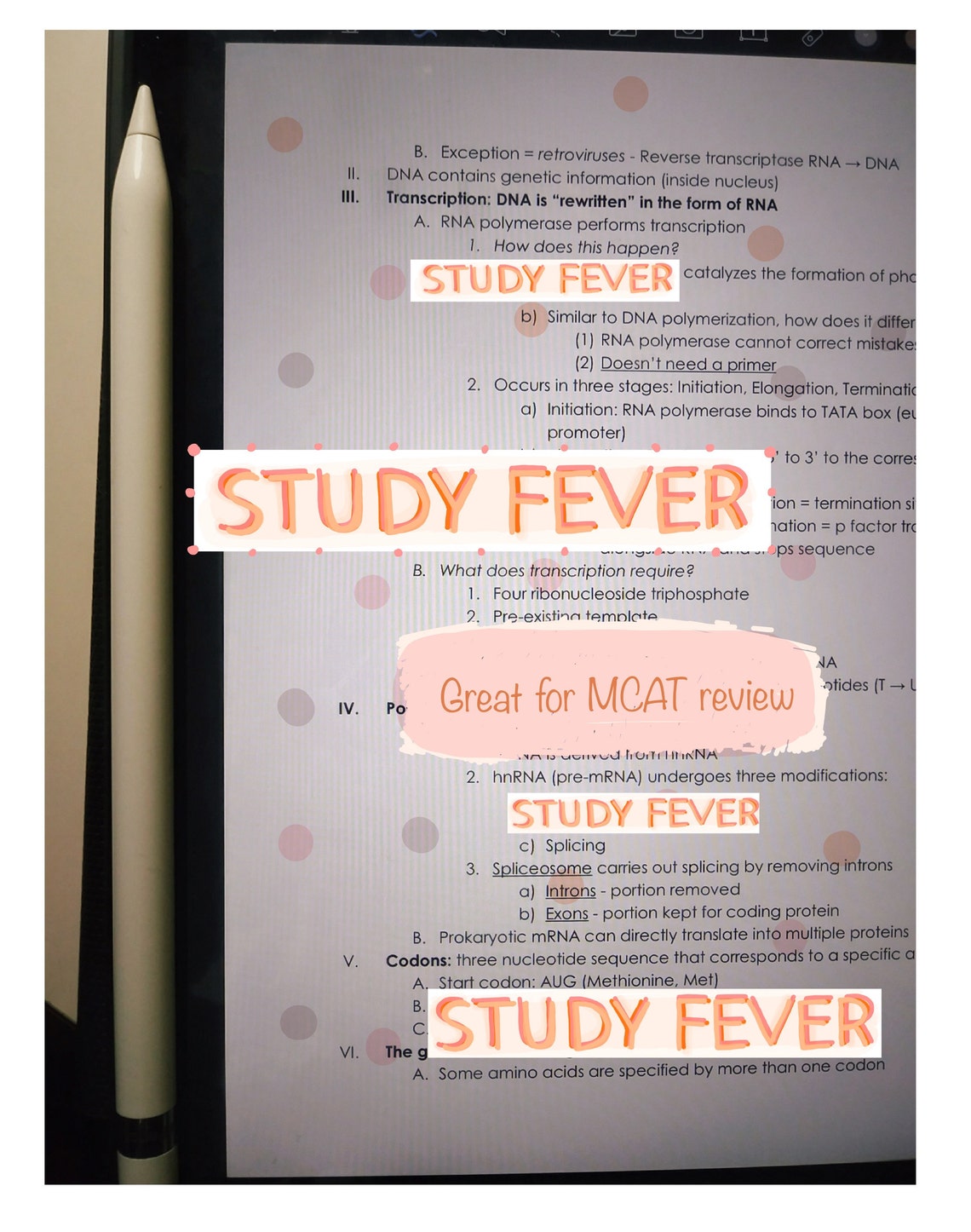 3 Page MCAT Study Sheet DNA and RNA (biology Review) - Etsy
