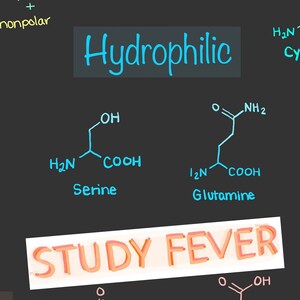 MCAT Study Sheet - Amino Acids - Etsy