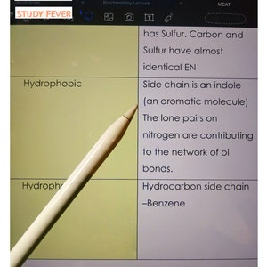 MCAT Study Sheet - Amino Acids - Etsy