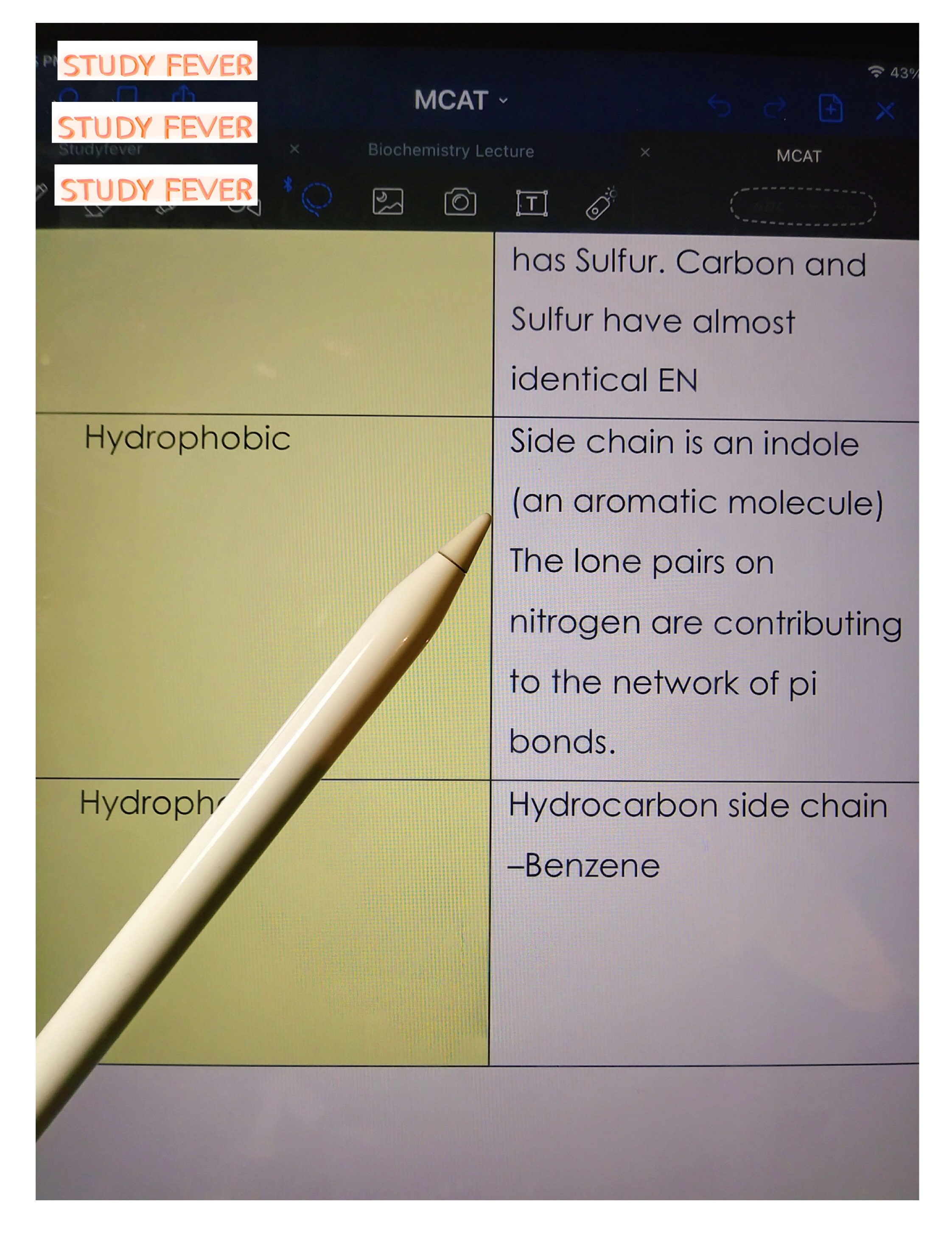 MCAT Study Sheet - Amino Acids - Etsy