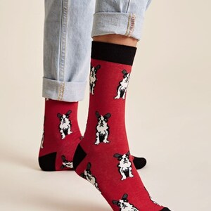 Animal Crazy Socks Funny Socks Cute Socks Girls Socks Boys Socks ...