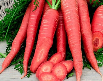 Kyoto Red Carrots, Red Carrot Seed, Specialty Seed, Carrots Seeds, Red ...