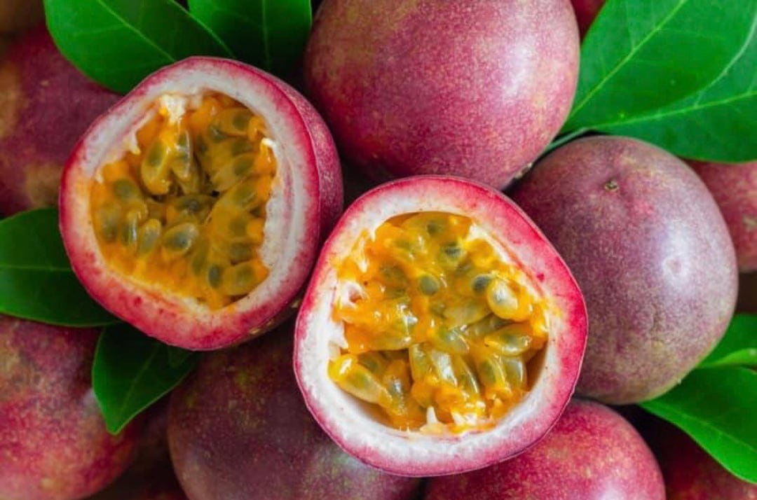 Purple Passion Fruit Seeds, Sweet Purple Passion Fruit Seeds, Passion ...