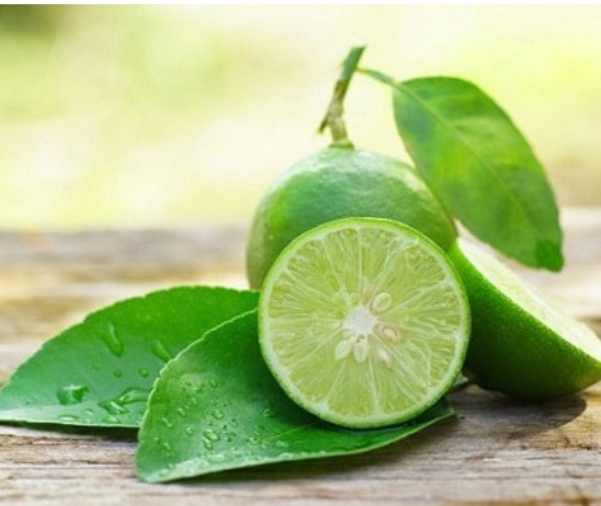 10 Lime Seeds Tropical Lime Seeds Thai Key Lime Seeds | Etsy