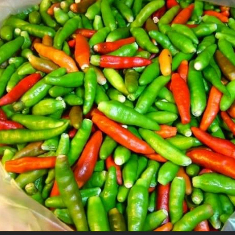 Hot Pepper Seeds - Etsy