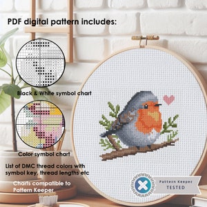 Robin Bird PDF Cross Stitch Pattern | Bird Cross Stitch Pattern ...