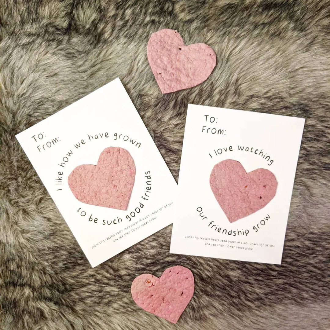 Valentine's Day Seed Paper Cards, Daycare Gifts, Toddler Gifts - Etsy