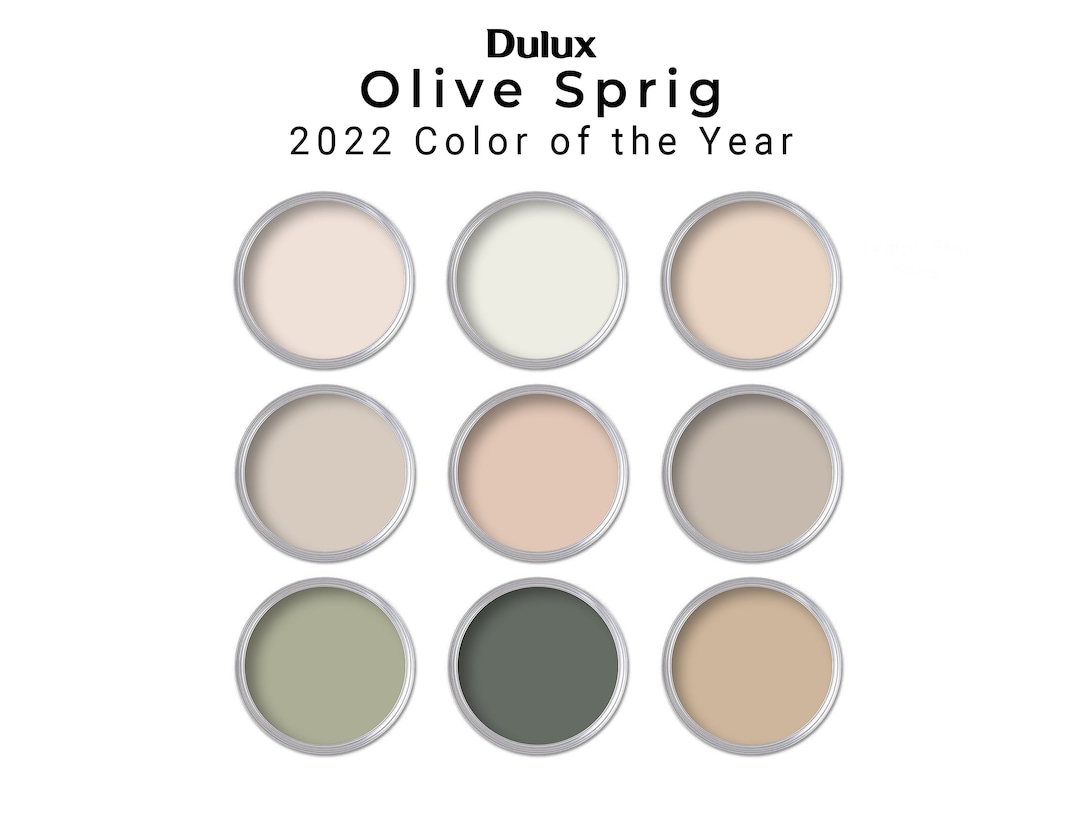 Olive Sprig Dulux Paint Color Palette | 2022 Color of Year Paint ...