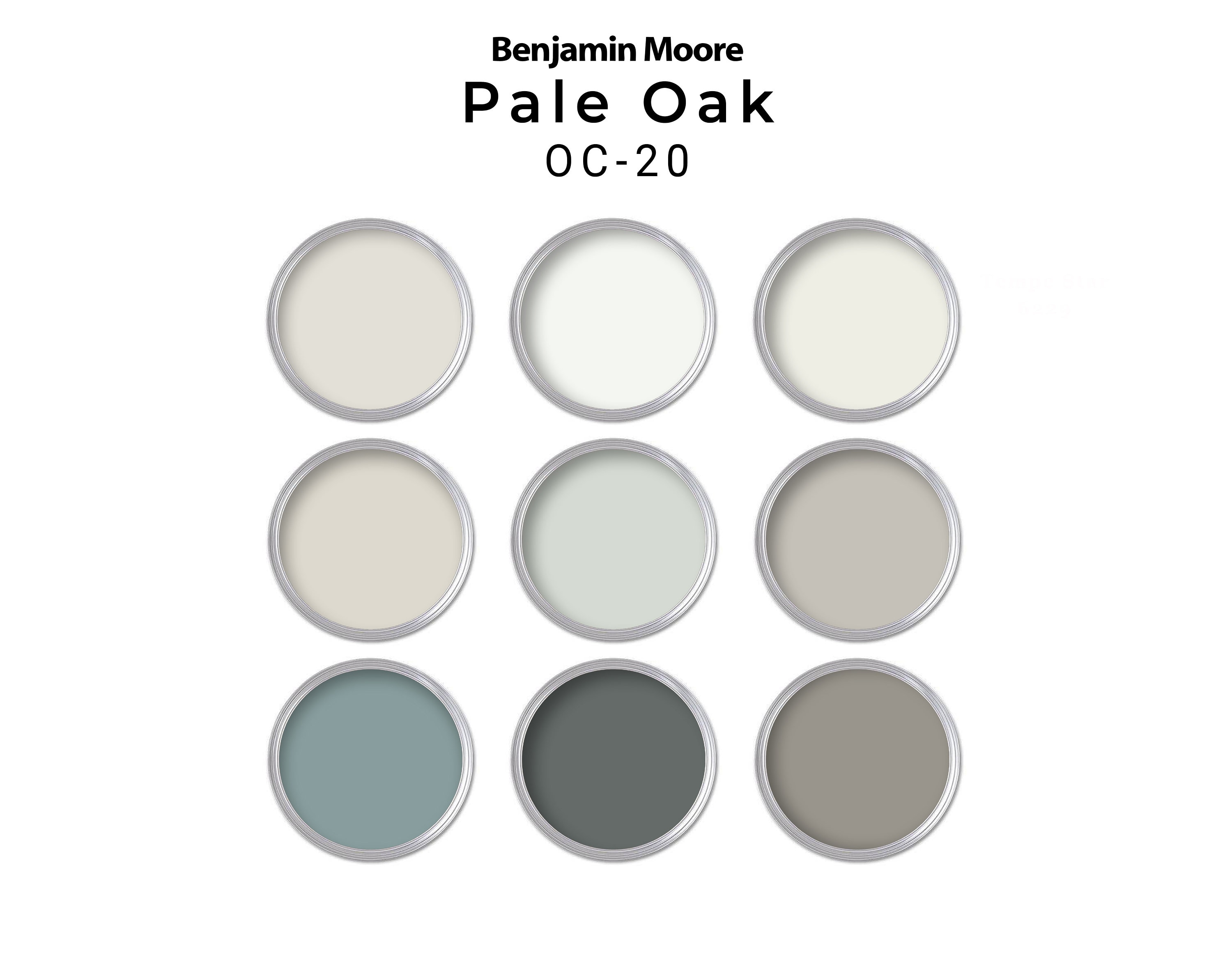 Pale Oak Benjamin Moore Home Paint Palette | Pale Oak Whole House ...