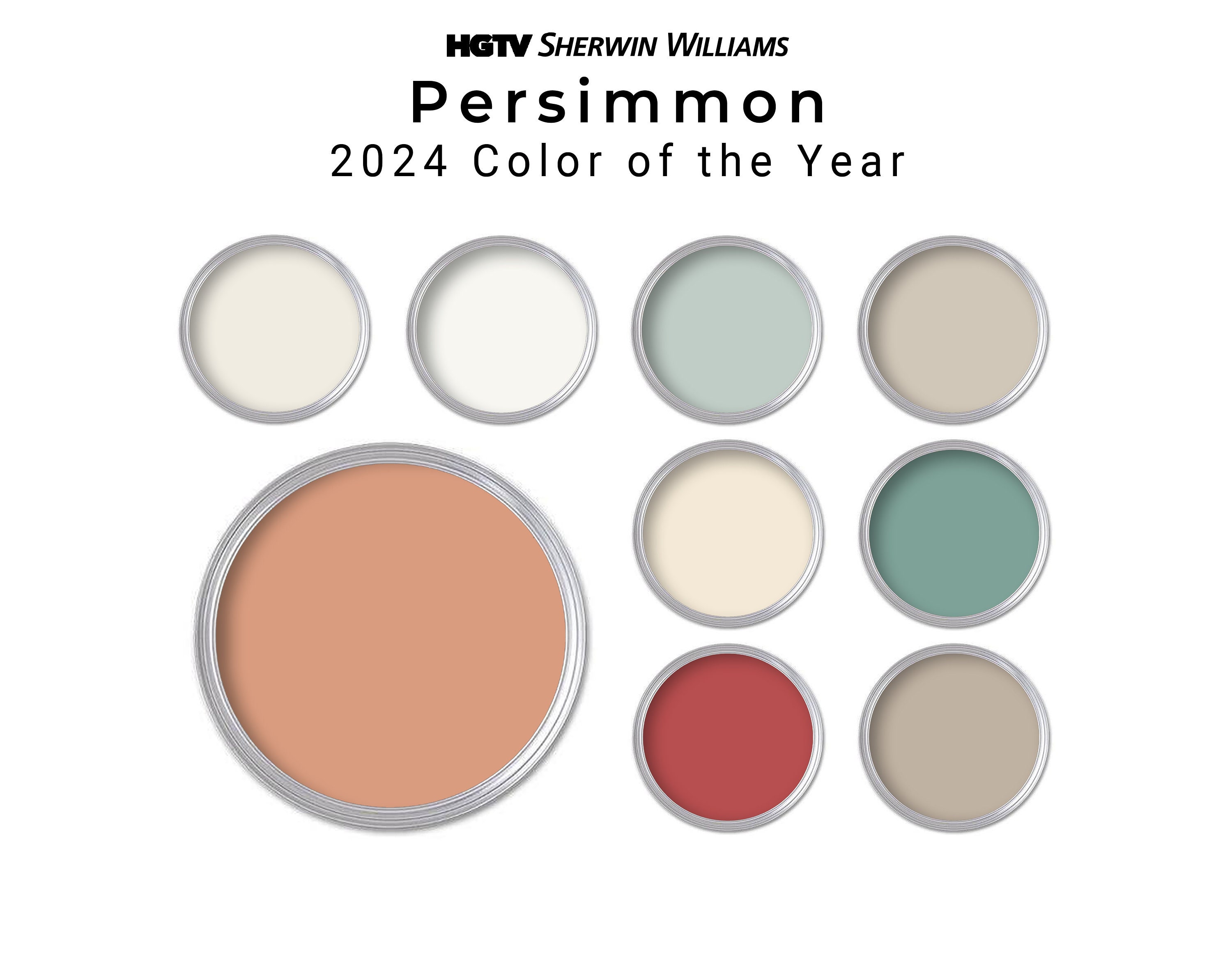 HGTV Sherwin Williams 2024 Color Persimmon Paint Palette Interior Paint ...