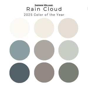 Sherwin Williams 2025 Color of Year | Rain Cloud Whole House Paint ...