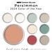HGTV Sherwin Williams 2024 Color Persimmon Paint Palette Interior Paint ...