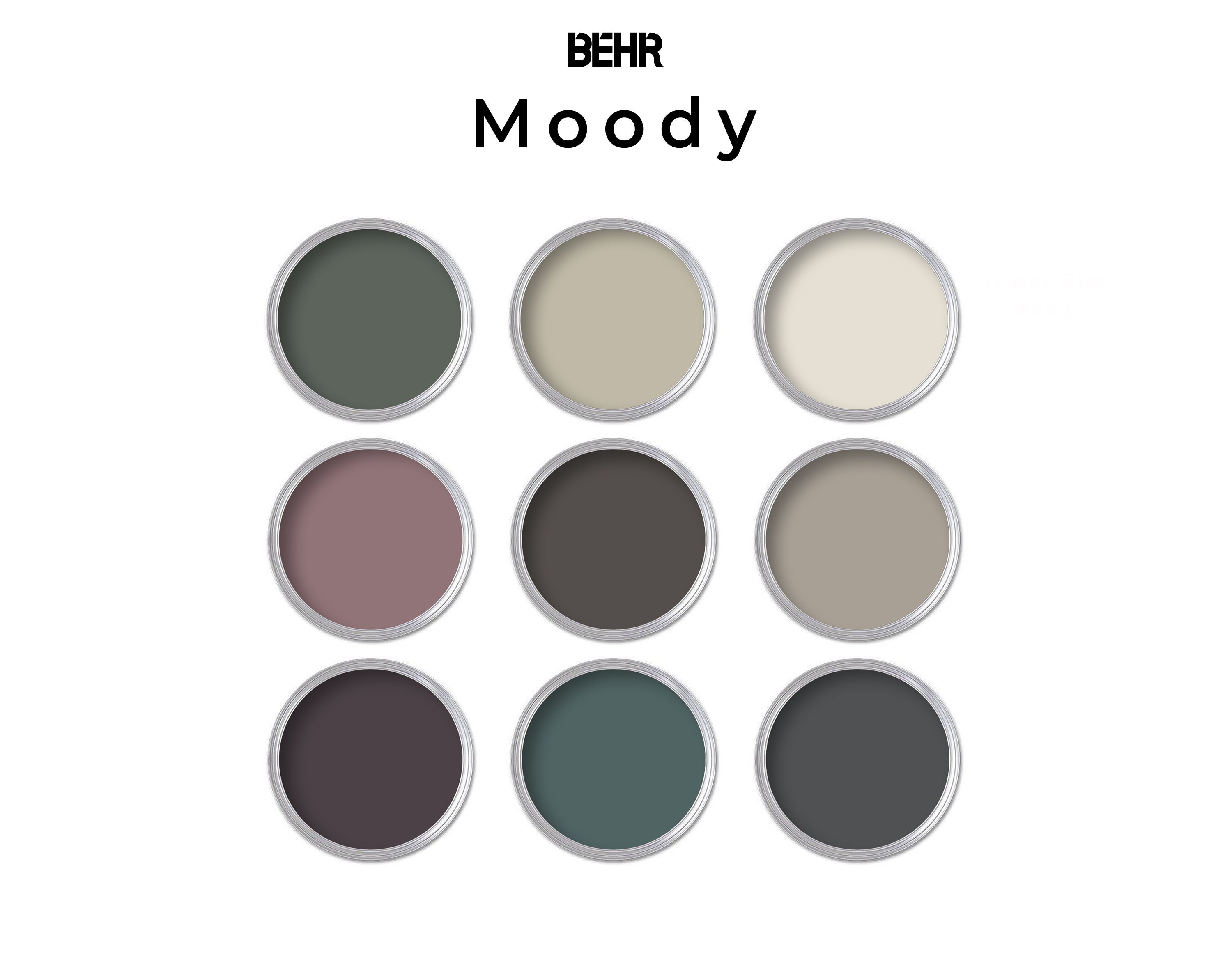 Moody Behr Paint Color Palette Home Depot Behr Moody Whole House Paint ...