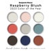 Raspberry Blush 2023 Benjamin Moore Paint Palette Color Year Interior ...