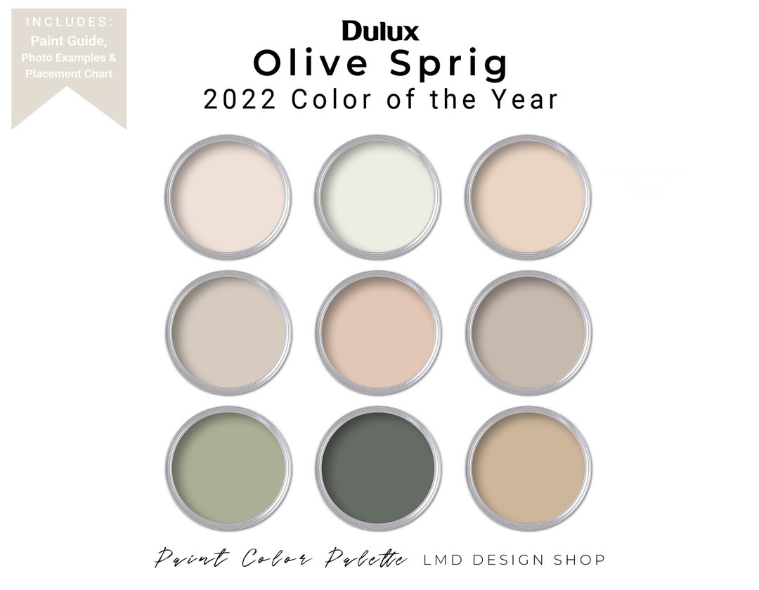 Olive Sprig Dulux Paint Color Palette 2022 Color of Year - Etsy Australia