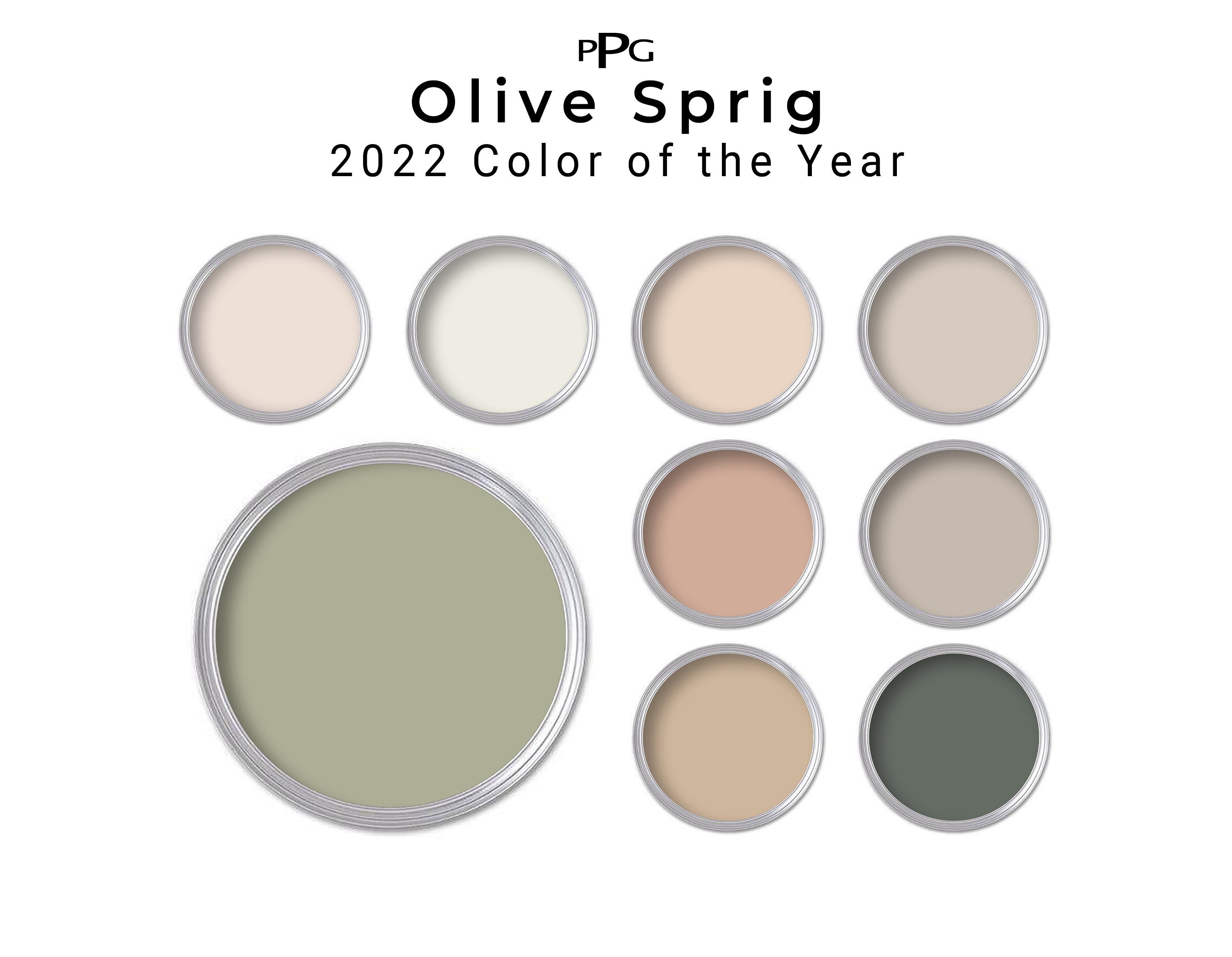 PPG Bohemian Paint Color Palette | 2022 Color of the Year Olive Sprig ...