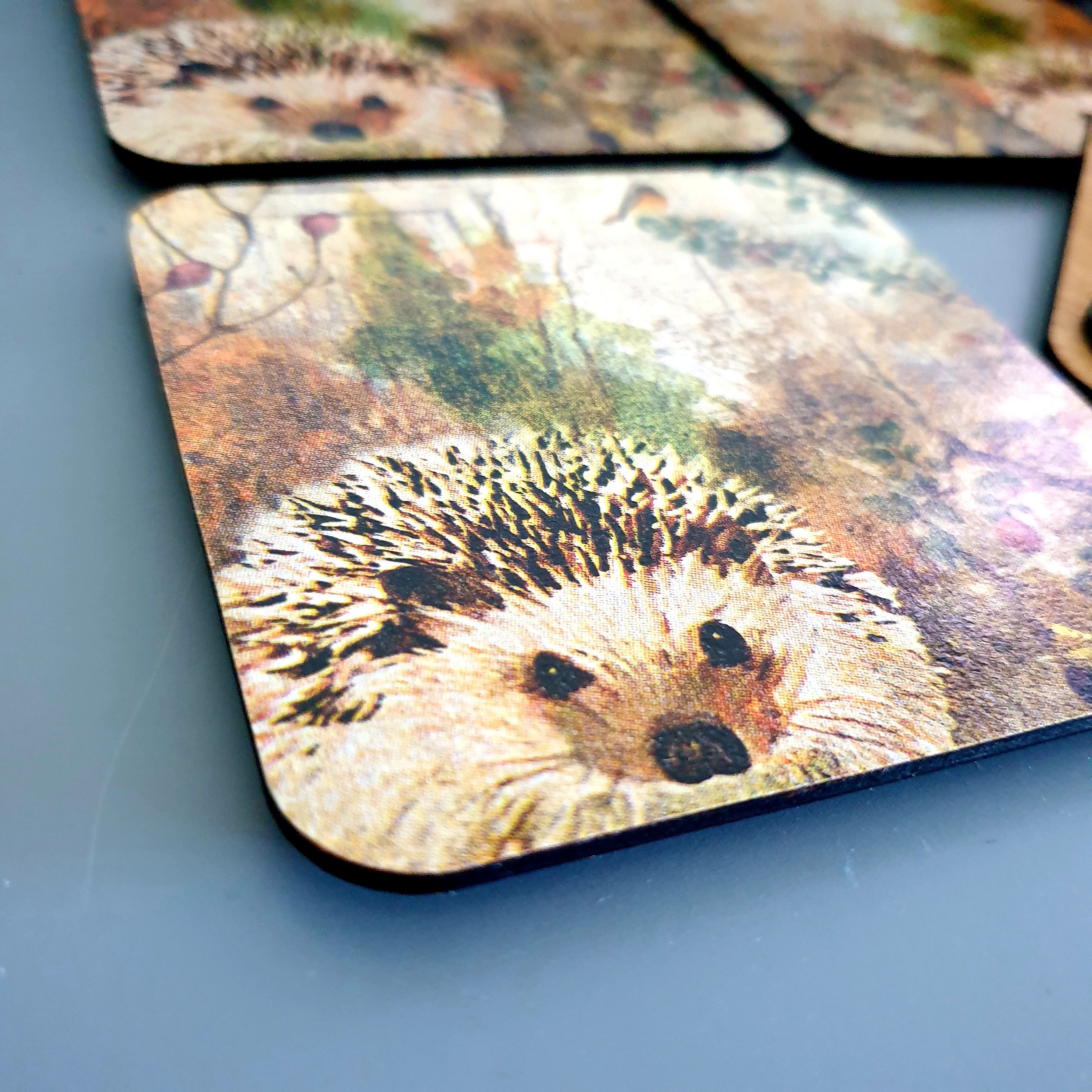 Autumn Hedgehog and Robin Coasters Set of 2 or 4 Wooden Brown - Etsy UK