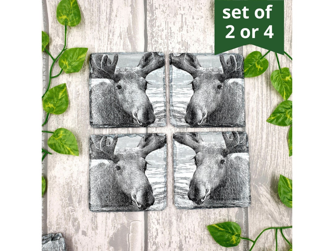 Moose Slate Coasters Set, Black and White Coasters, Wild Animal Stone ...
