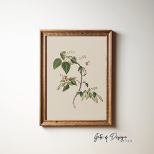 Vintage Cottage Still Life Gallery Wall Art Set - Moody Floral ...