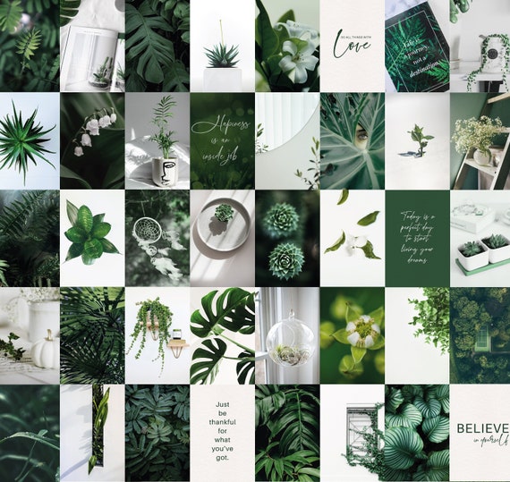 Plants Collage
