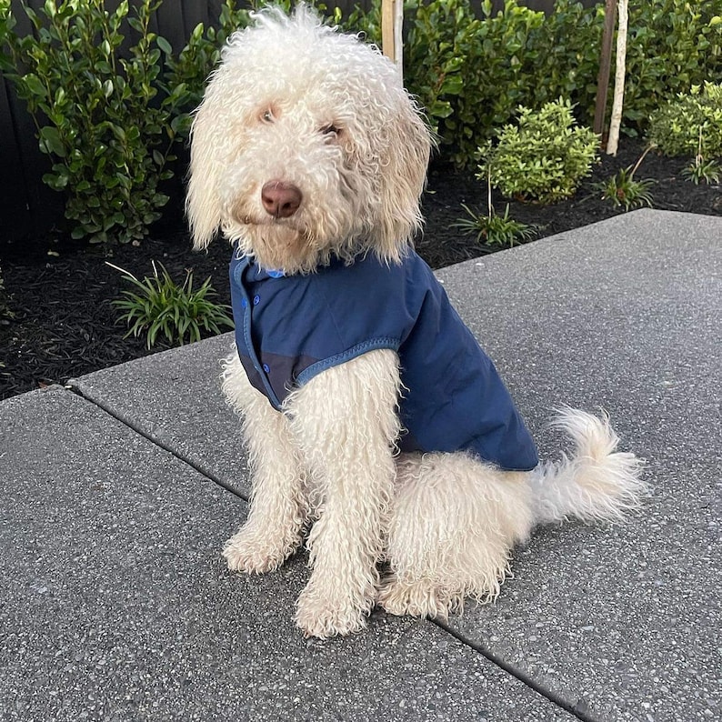 Sub-zero Dog Coat Pattern - Etsy