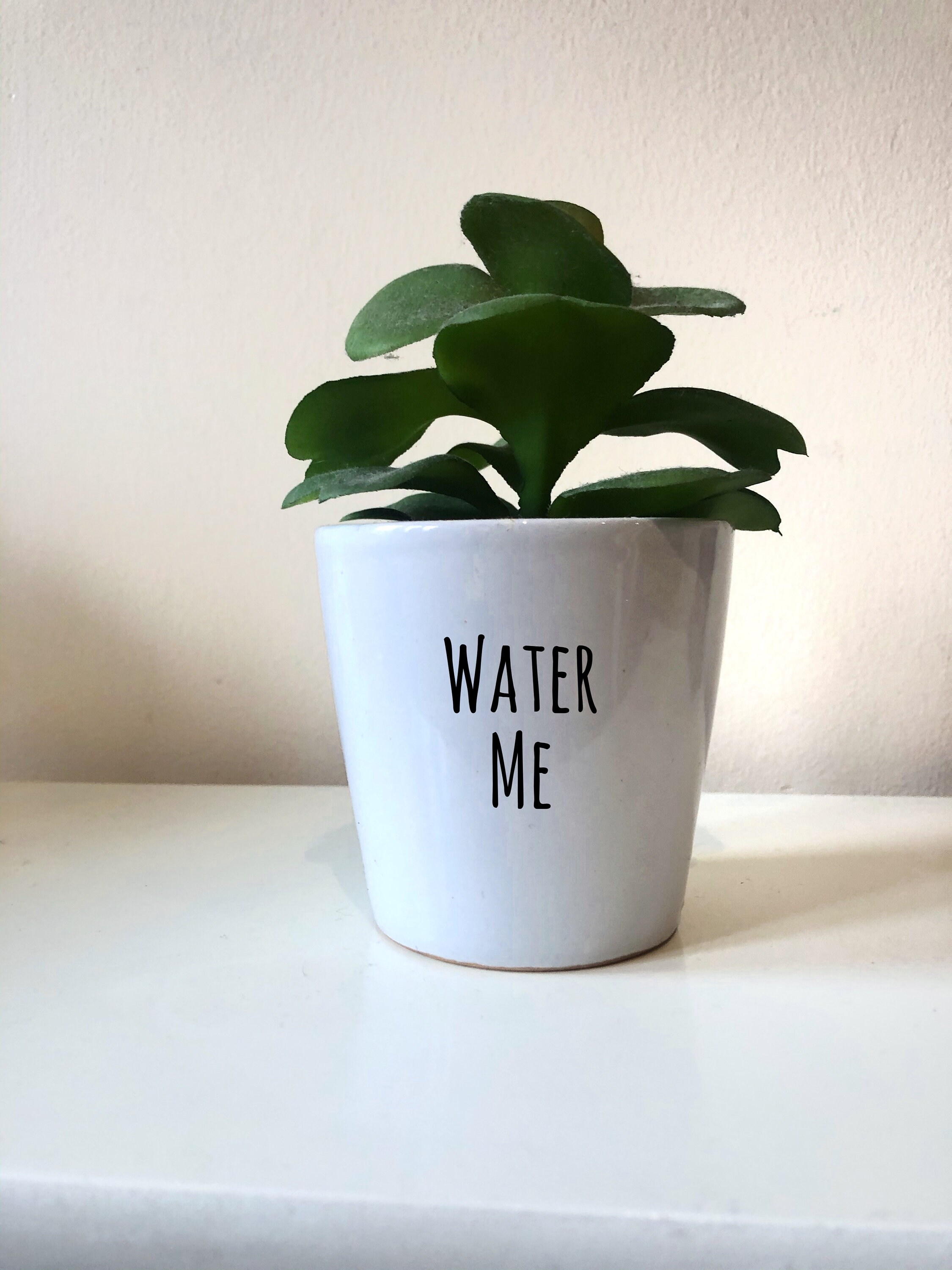 Set of three funny plant pot stickers plant pot vinyl decals | Etsy