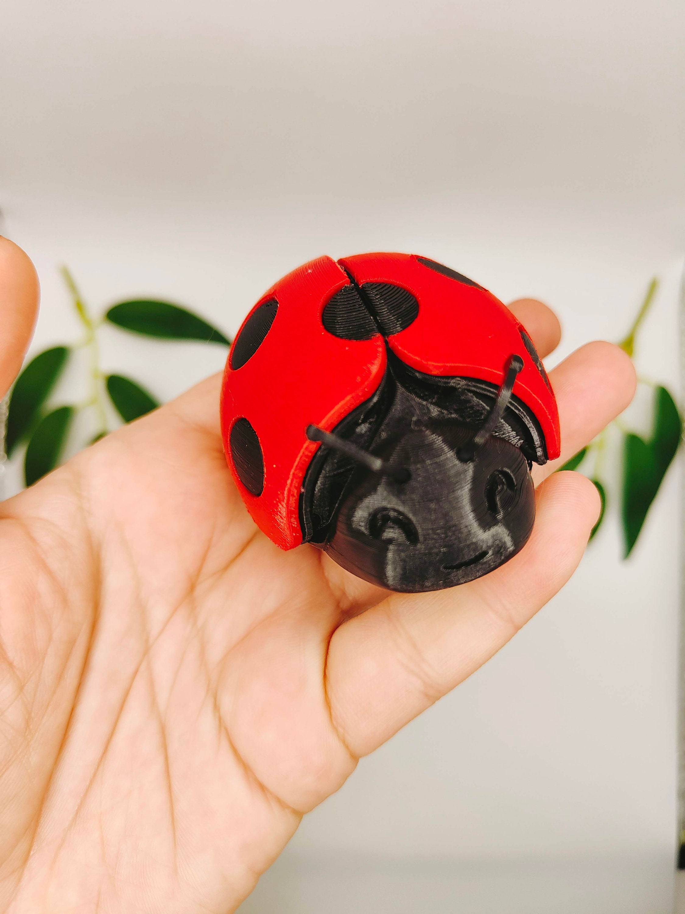 Ladybug 3D Printed Fidget Toy Desk Desk Pet Lady Beetle - Etsy