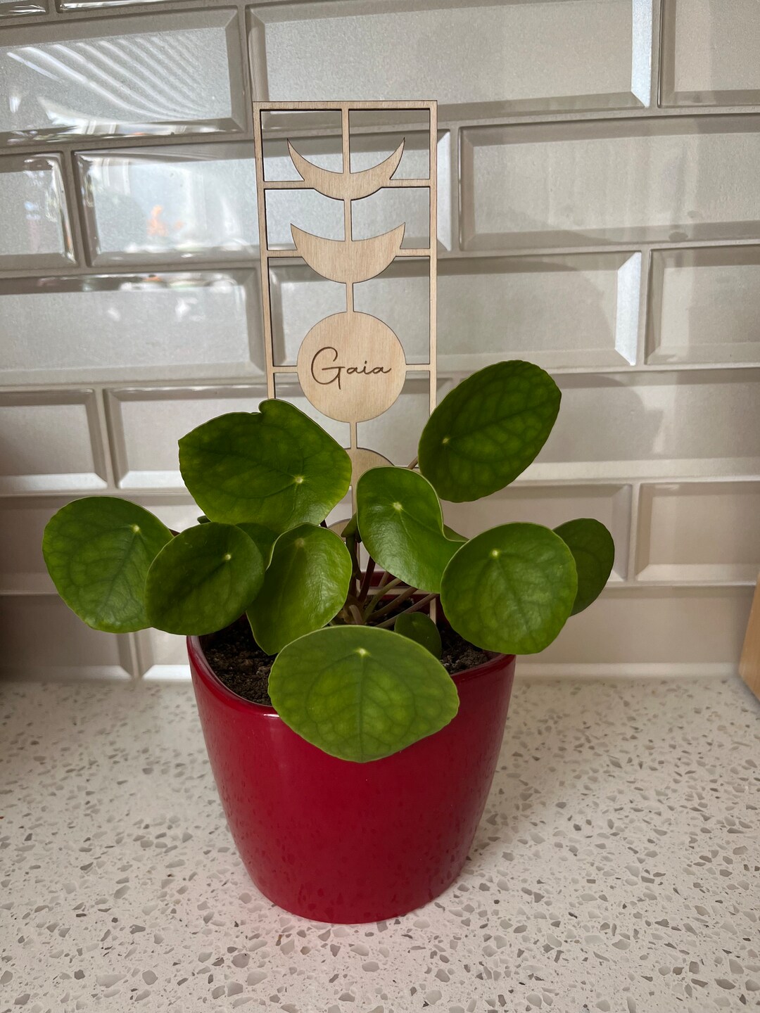Moon Phase Plant Trellis, Personalized 10” High Plant Climber Stake ...