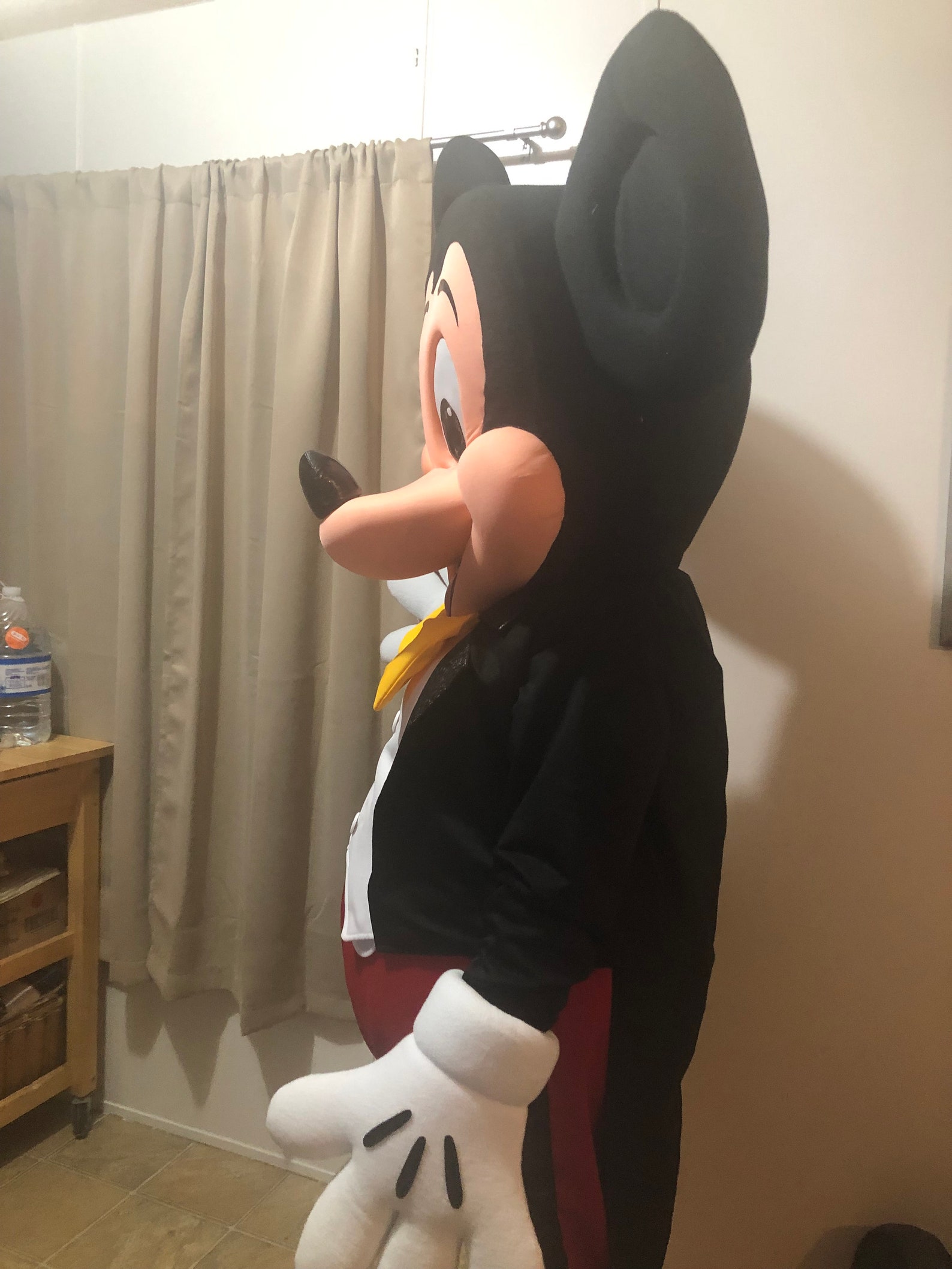 Mickey Mouse Adult Mascot Mickey Mouse Adult Costume Etsy