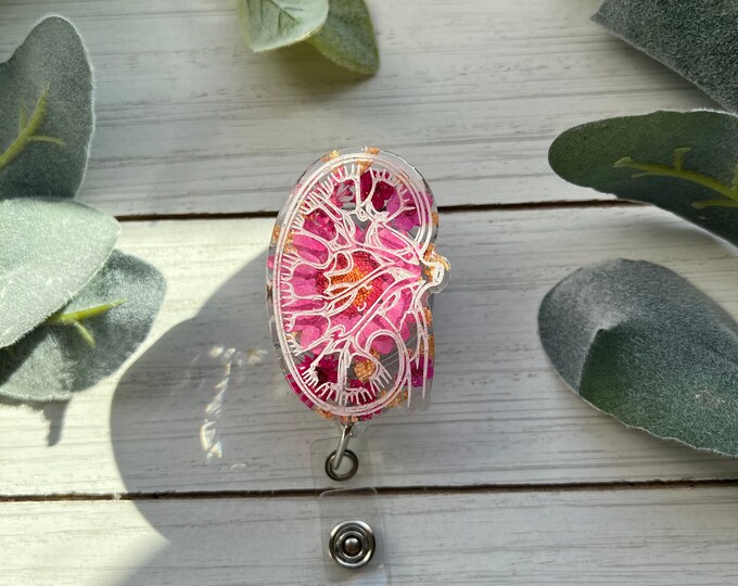 Human Kidney Keychain Renal Anatomy Keyring - Etsy