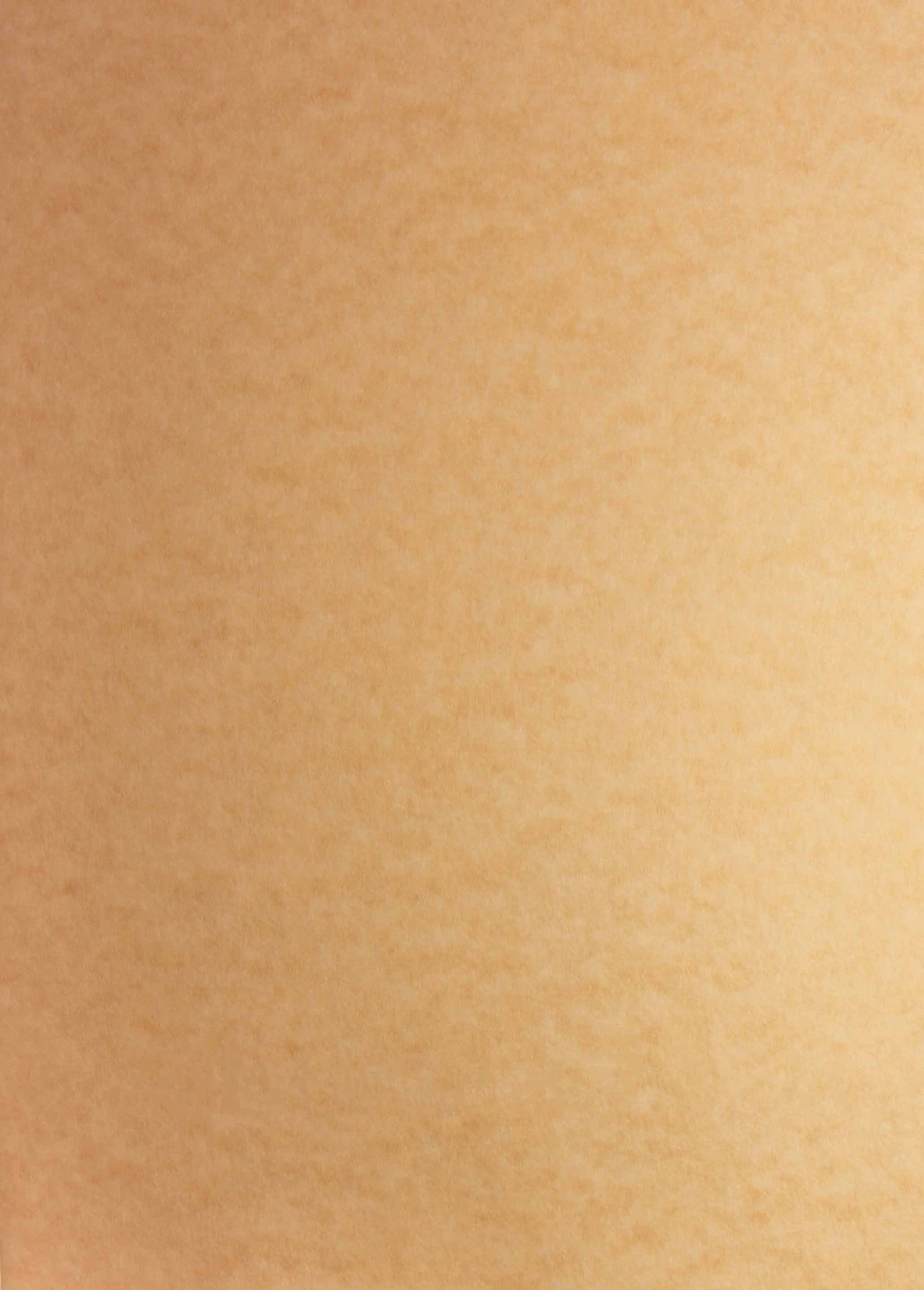 Parchment Paper Light Gold A4 90gsm - Etsy UK